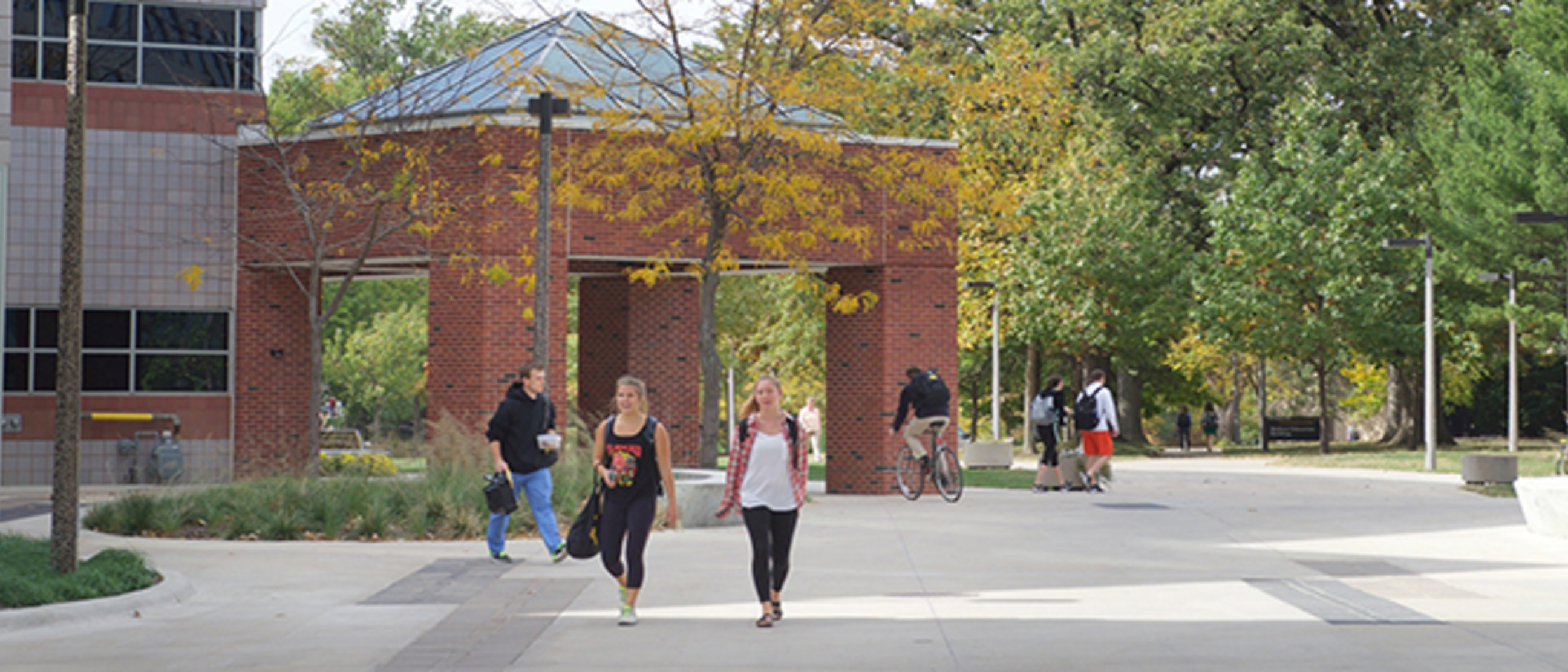 Funding | Interdisciplinary Graduate Program in Immunology - The ...